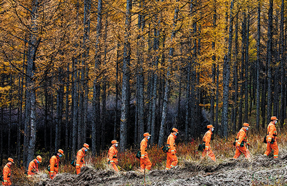 The green guardian-China Story